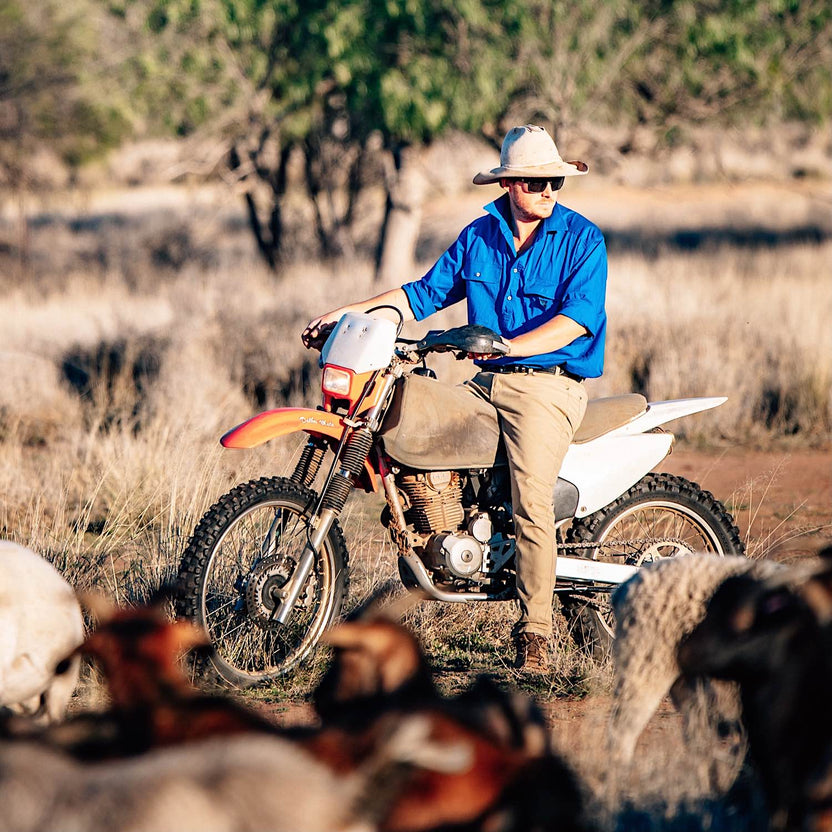 Buy Pilbara Clothing & Apparel | Best Prices – The Stable Door