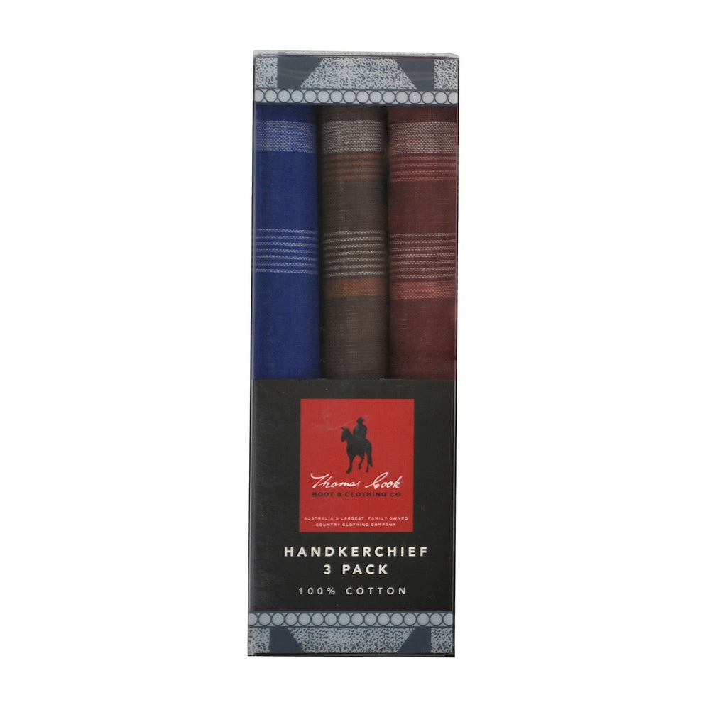 Buy Thomas Cook Handkerchief 3 Pack Multi Colour – The Stable Door